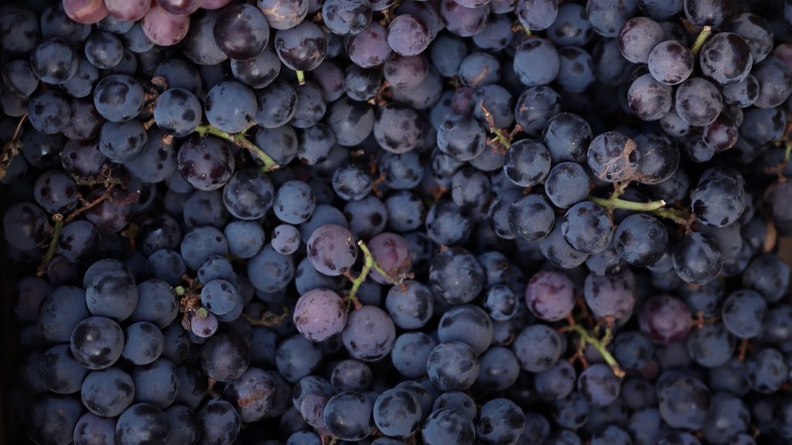 Lineage Logistics Announces Lineage Fresh, Expands Fresh Produce ...
