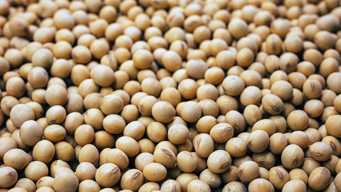 3 Business Sectors That Present Crucial Demand for Soy Protein ...