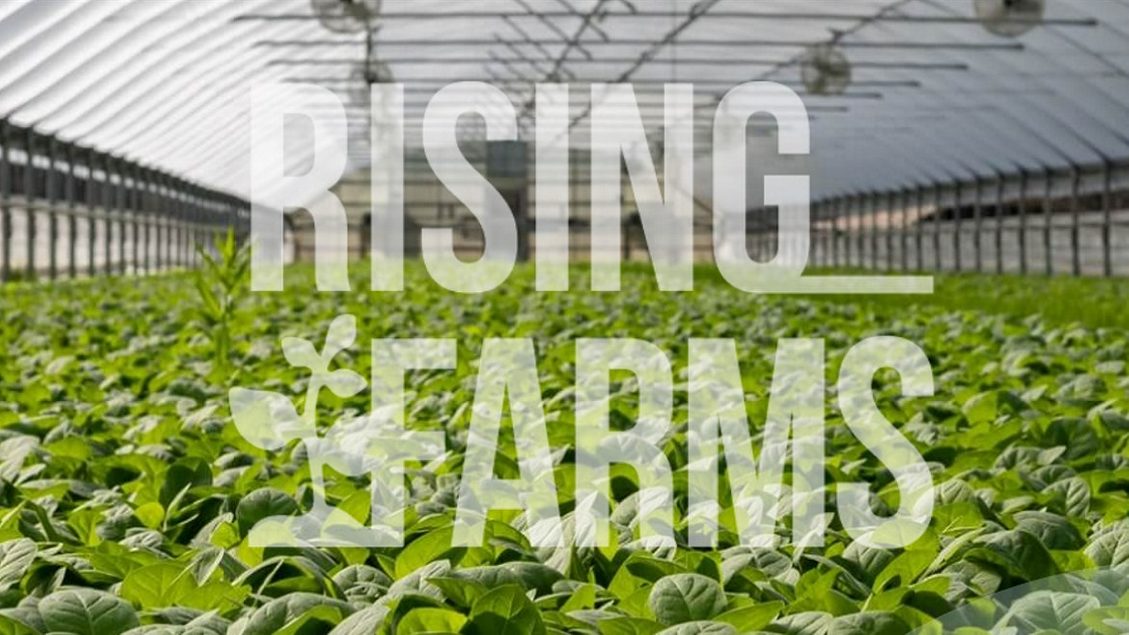 Rising Farm Announces New Facility Expansion | Food Engineering