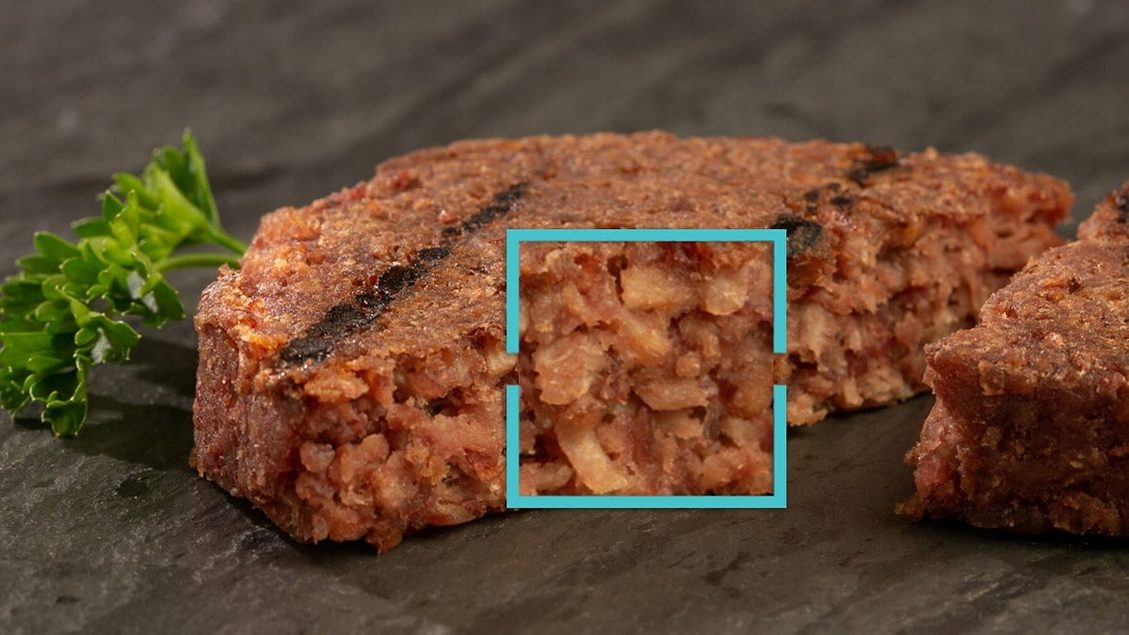 Motif FoodWorks Launches Appetex | Food Engineering