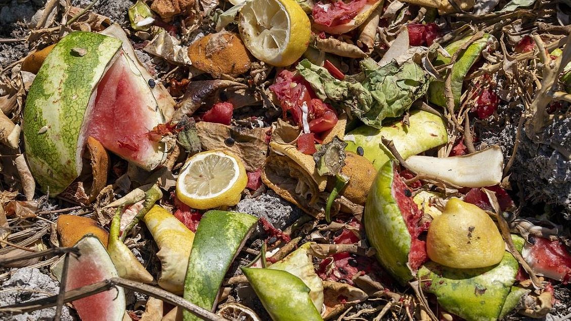 The Alarming Issue of Food Wastage…And How to Combat It | Food Engineering