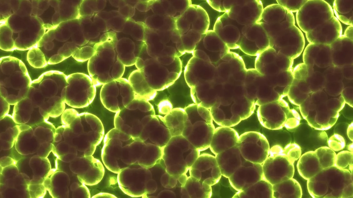 Thermal Process Validation Trials: 3 Tips to Minimize Cost and Protect ...