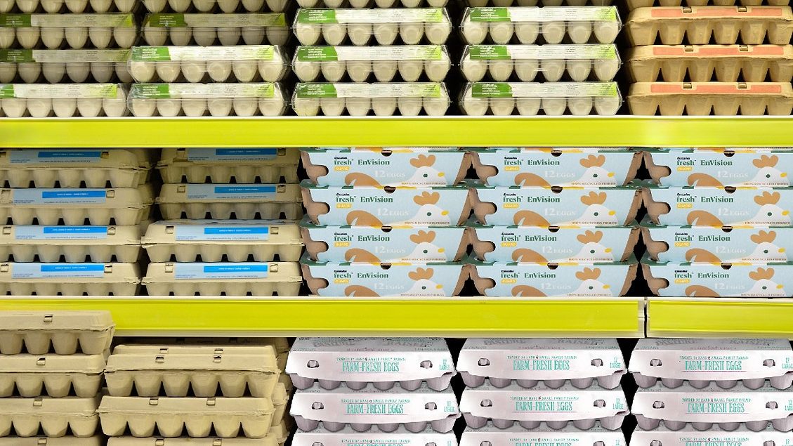 Cascades Inc. Debuts Fresh GUARD EnVision Packaging for Eggs | Food ...