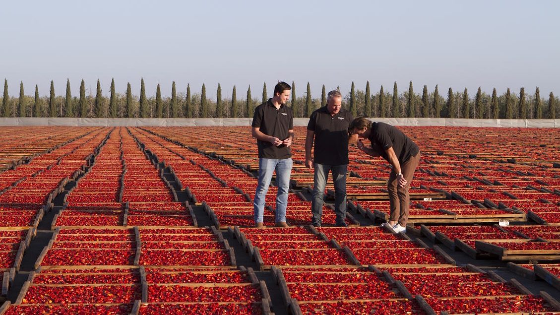 Traina Foods Acquires Martin Farms | Food Engineering