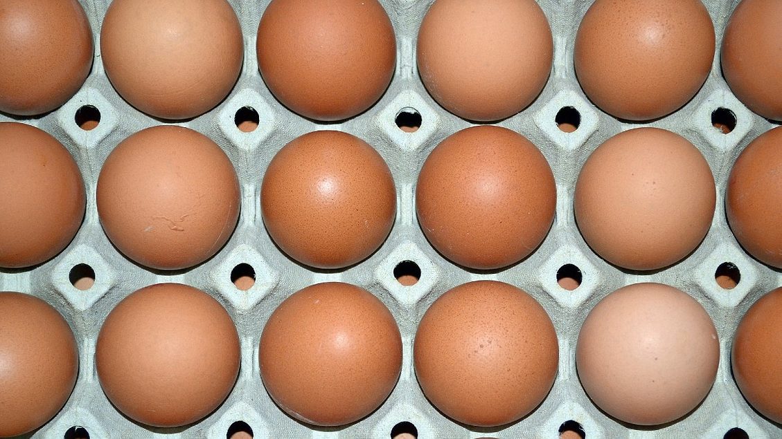 California Egg Company Recalls 1.7M Dozens of Shell Eggs Over ...