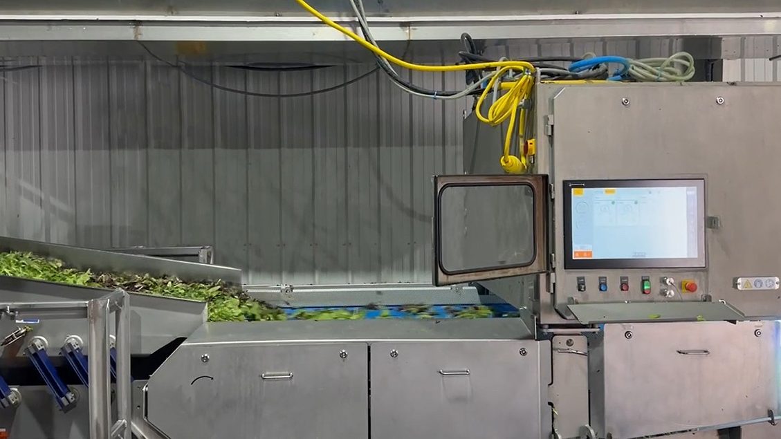 Key Technology Introduces COMPASS Optical Sorter for Leafy Greens ...