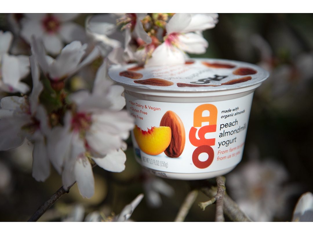 Almond farmer adds value with Ayo Yogurt brand | 2021-06-15 | Food ...