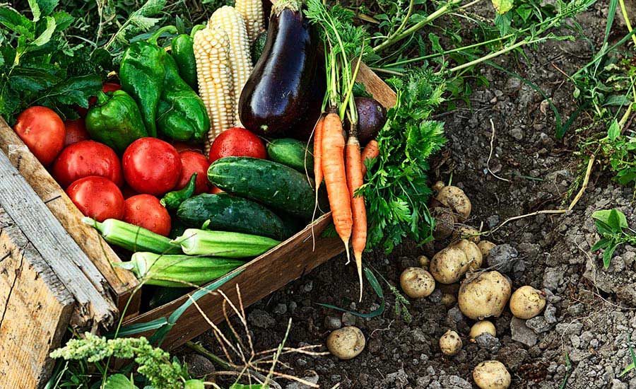 Clear communication helps consumers understand food sources | 2017-05 ...