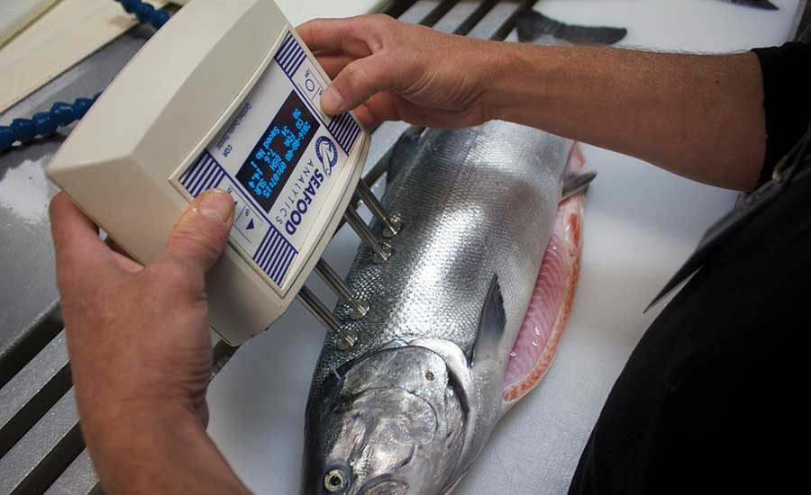 Instrumentation helps provide more accurate fish quality analysis ...