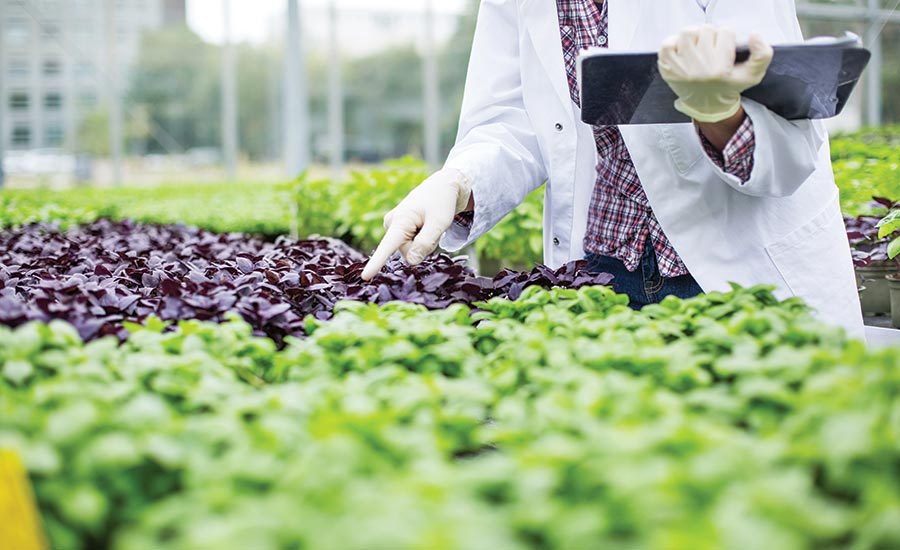 How to manage recalls | 2018-06-13 | Food Engineering