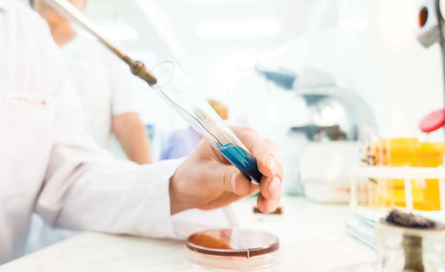 Automated microbiological testing helps speed up determining if food is ...