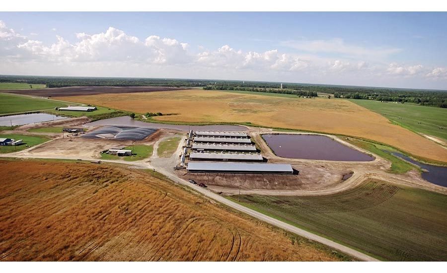 Energy Efficiency Strategies for Food Processors | 2019-11-01 | Food ...
