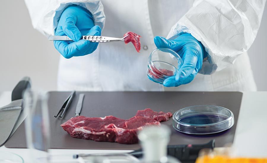 What processors need to know about environmental monitoring | 2019-12 ...