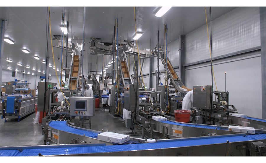 Meat processor automates production and pack-out systems | Food Engineering