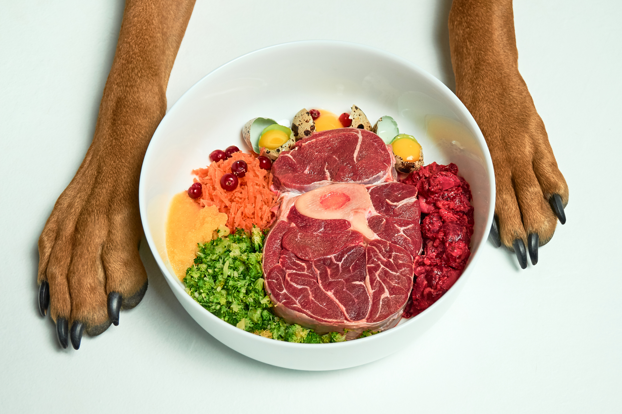 Raw Pet Food Hype Or Healthy Part 2 Food Engineering Raw Pet Food Hype Or Healthy Part 2 Food Engineering