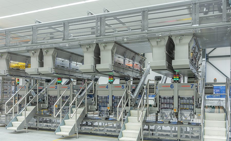 Cremer Multi-counter machine system | Food Engineering