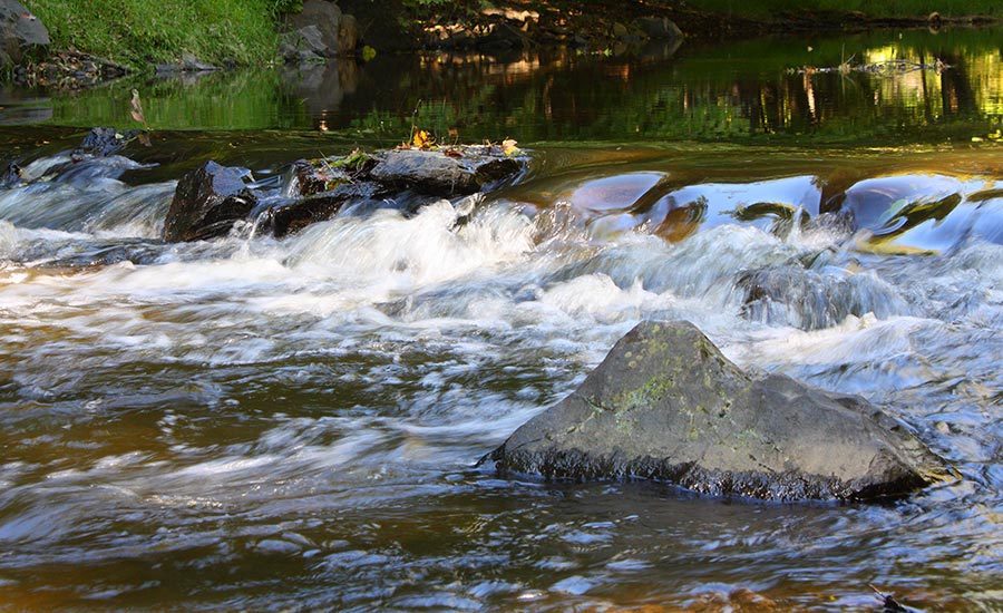 Update on PFAS in Drinking Water and Food | Food Engineering