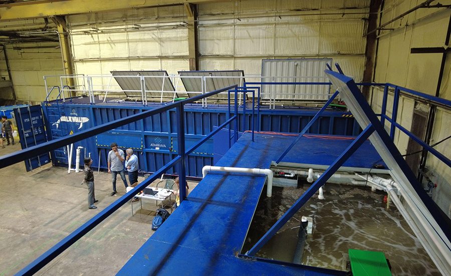 Sustainable, “Plug - and - Play” Shrimp Farming Sets up Anywhere Food ...