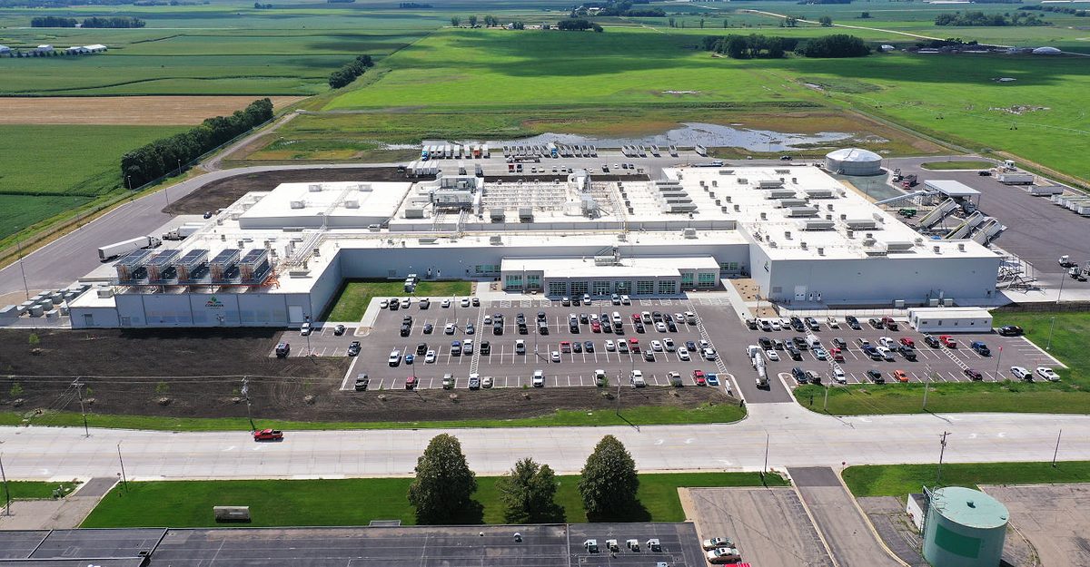 These Food Plants are Fabulous for Very Different Reasons | Food ...