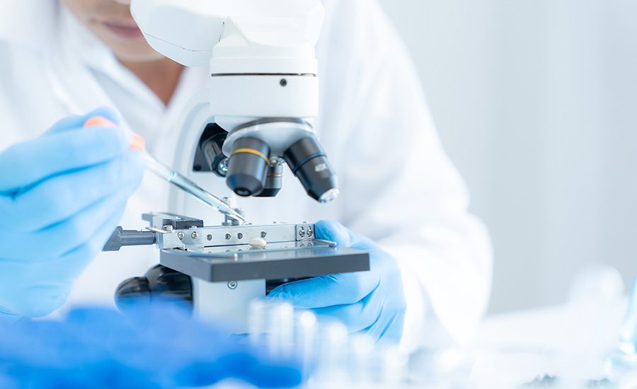 Food Safety Testing: Do it Right and Avoid Costly Recalls | Food ...