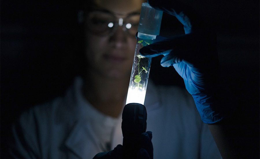 AM FRESH Group to acquire IFG and merge it with SNFL | 2022-03-08 ...