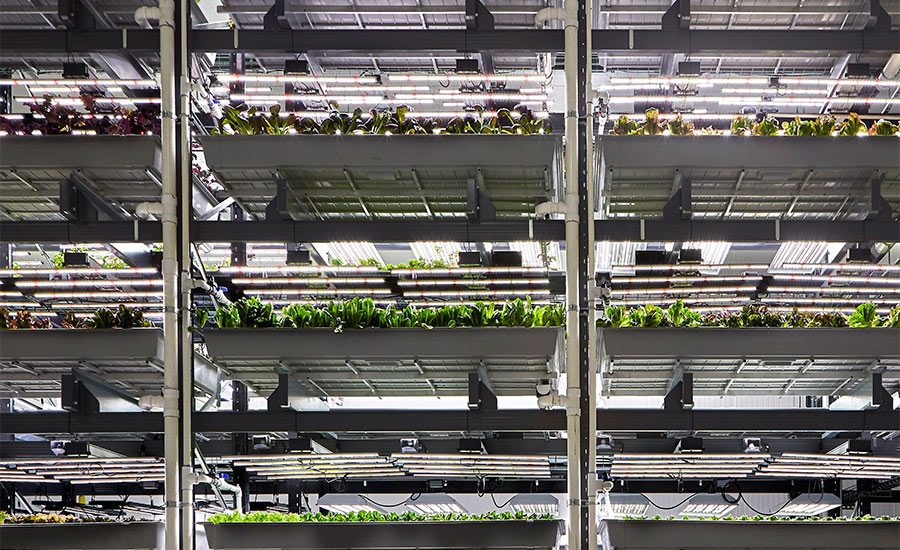 Bowery Farming opens vertical farm in Bethlehem Steel’s vacated ...